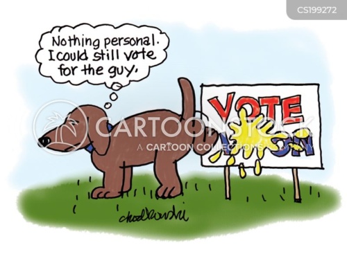 Cartoons | P is For Politics. | Dick Chodkowski