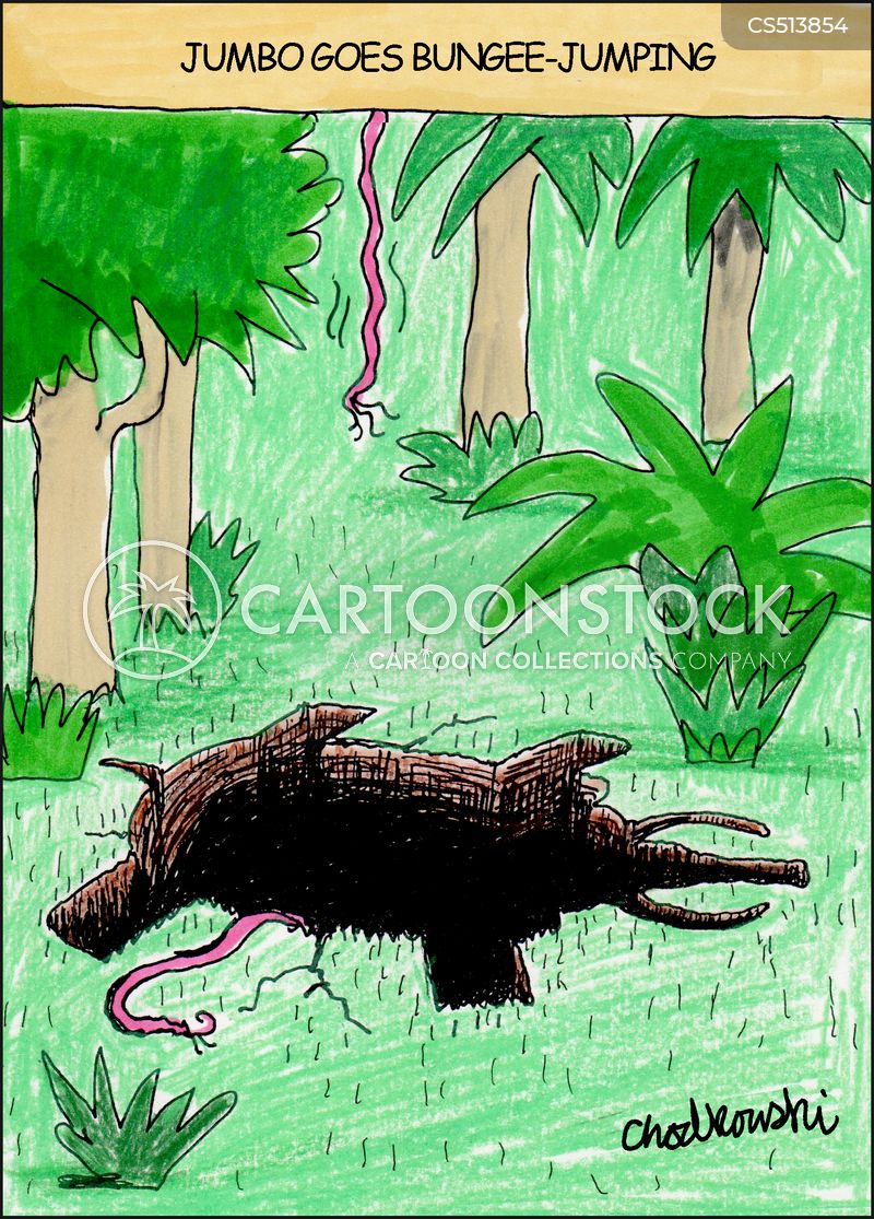 Bungee Jumping Cartoon