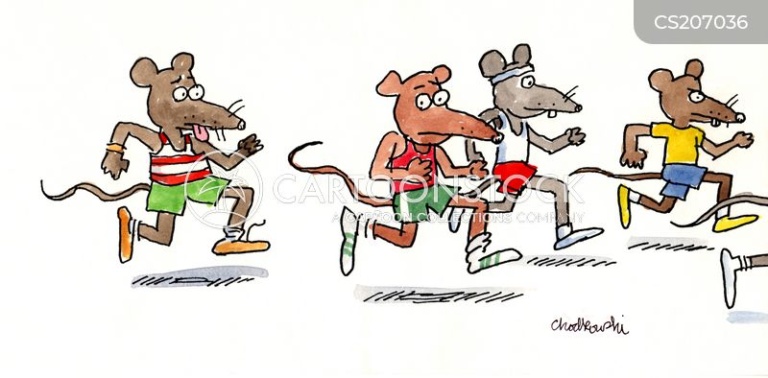 Cartoons | Life's a Rat Race. | Dick Chodkowski
